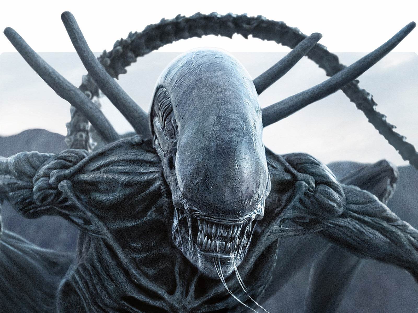 Official Alien Clothing | Adults Alien Merchandise – Character.com