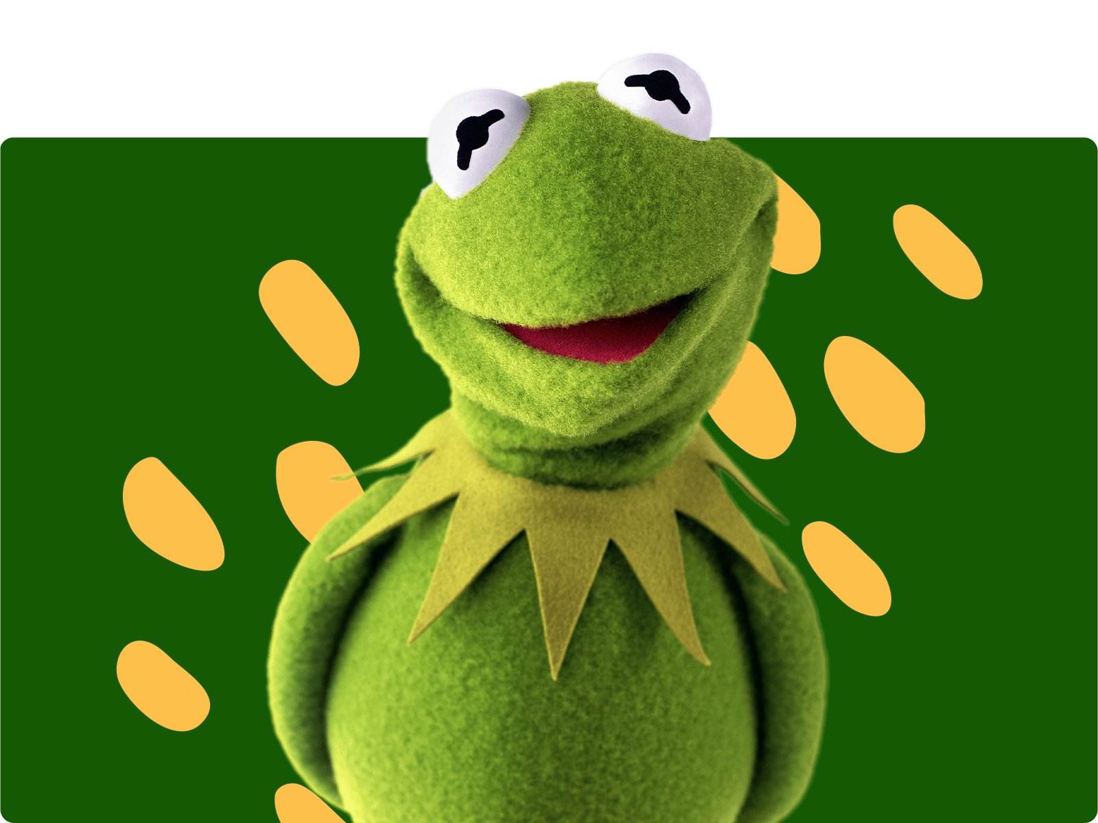 Official The Muppets Pyjamas | Adults Clothing & PJs – Character.com