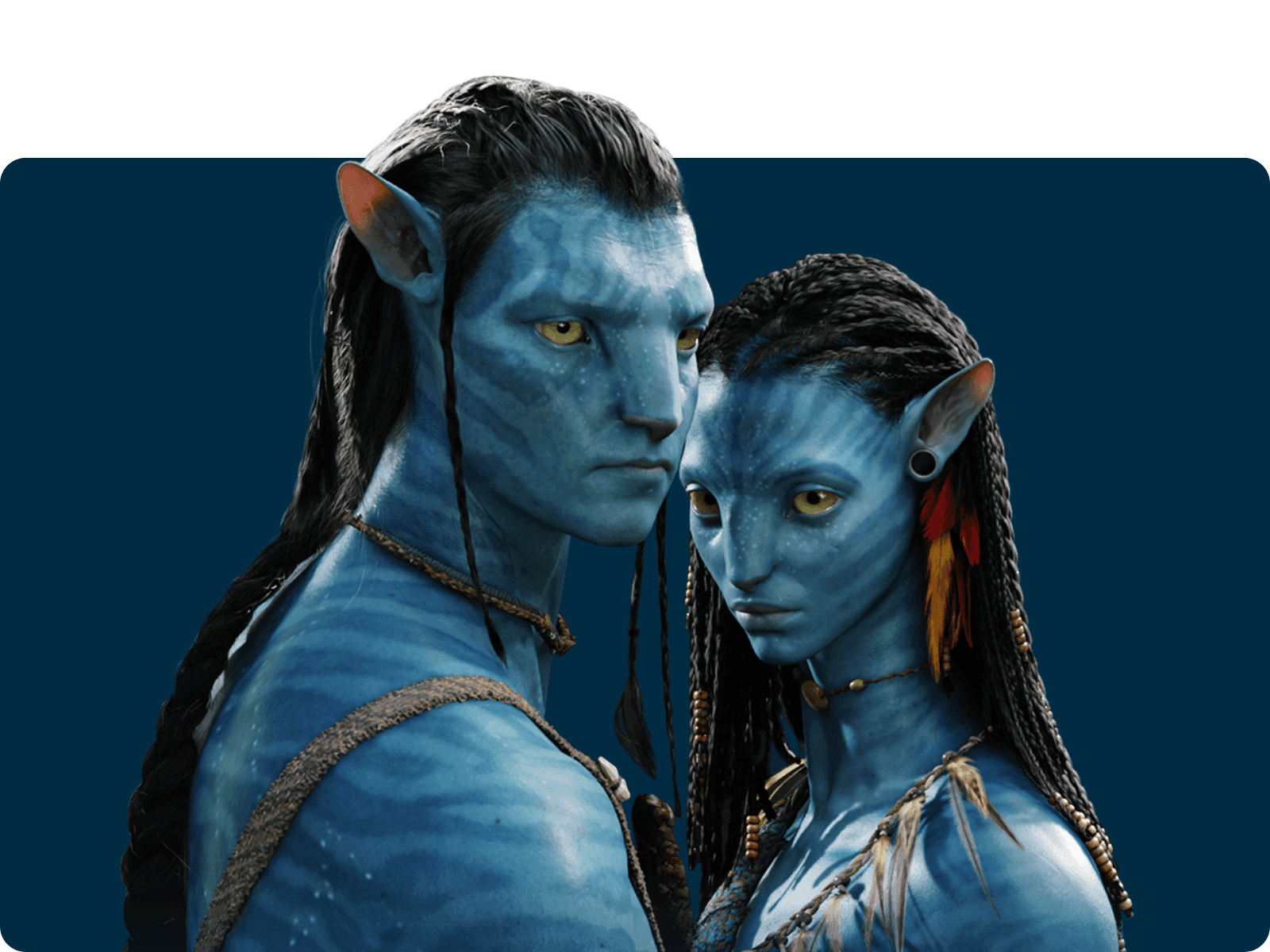 Avatar T-Shirts & Clothes | Matching T-Shirts – Character.com