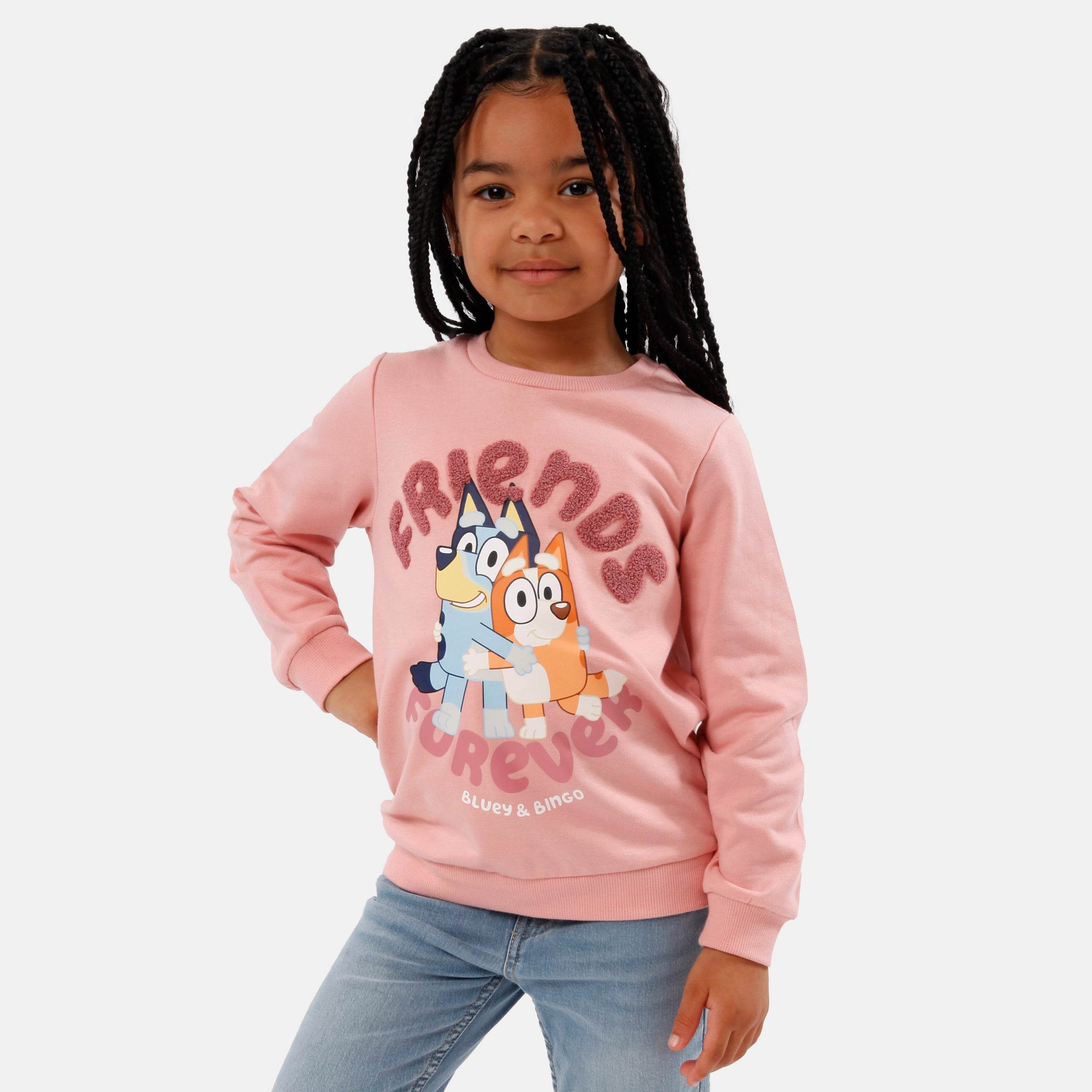 Bluey Girls Sweatshirt | 100% Cotton | Embroidered Design | Pink Jumper ...