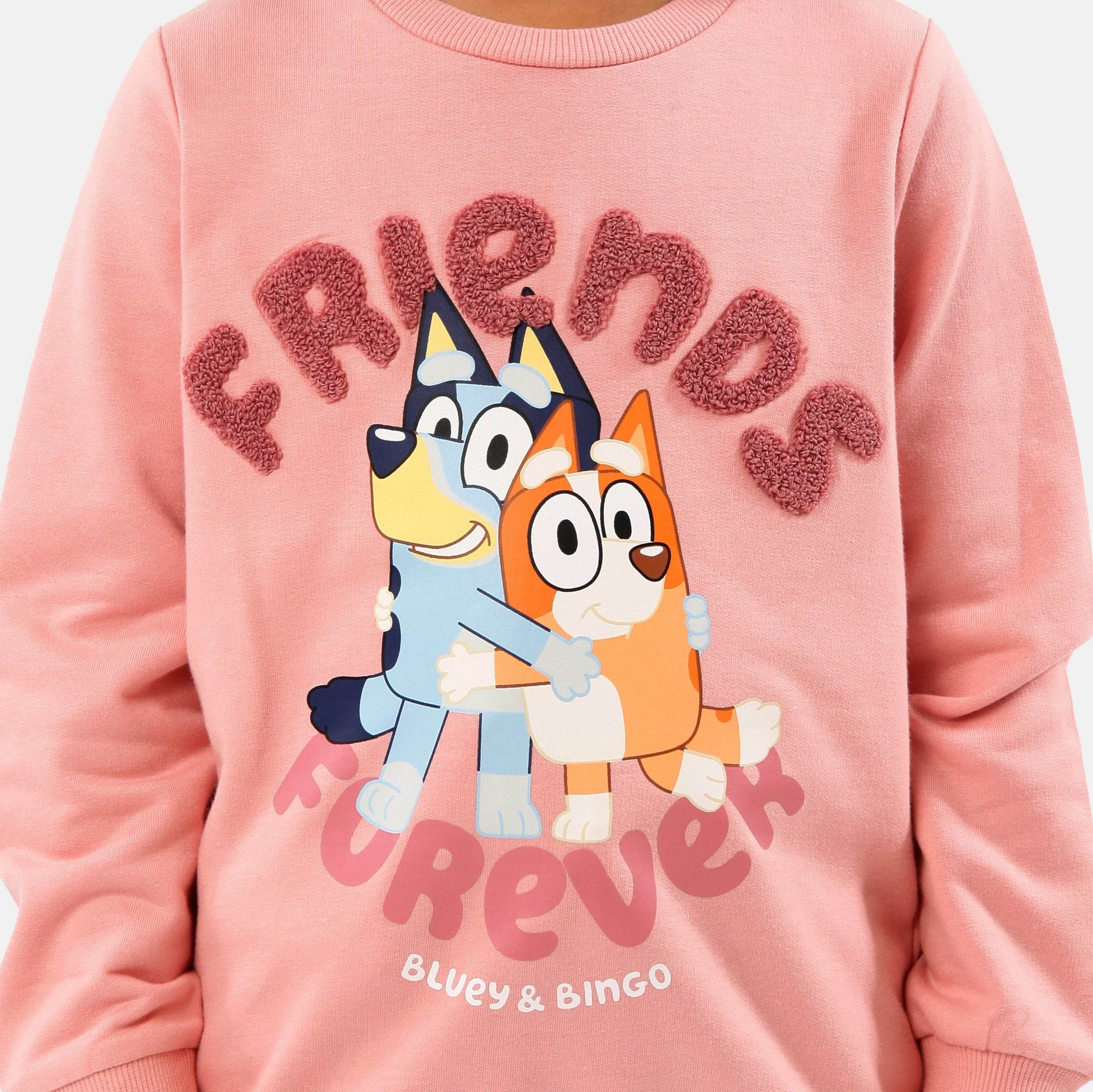 Bluey Girls Sweatshirt | 100% Cotton | Embroidered Design | Pink Jumper ...