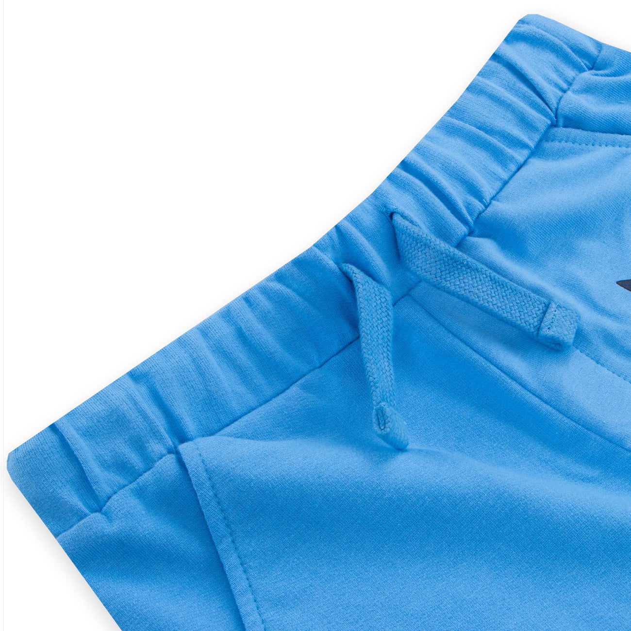Bluey Outfit Set | Bluey T-shirt and Shorts for Boys | Kids | Character.com