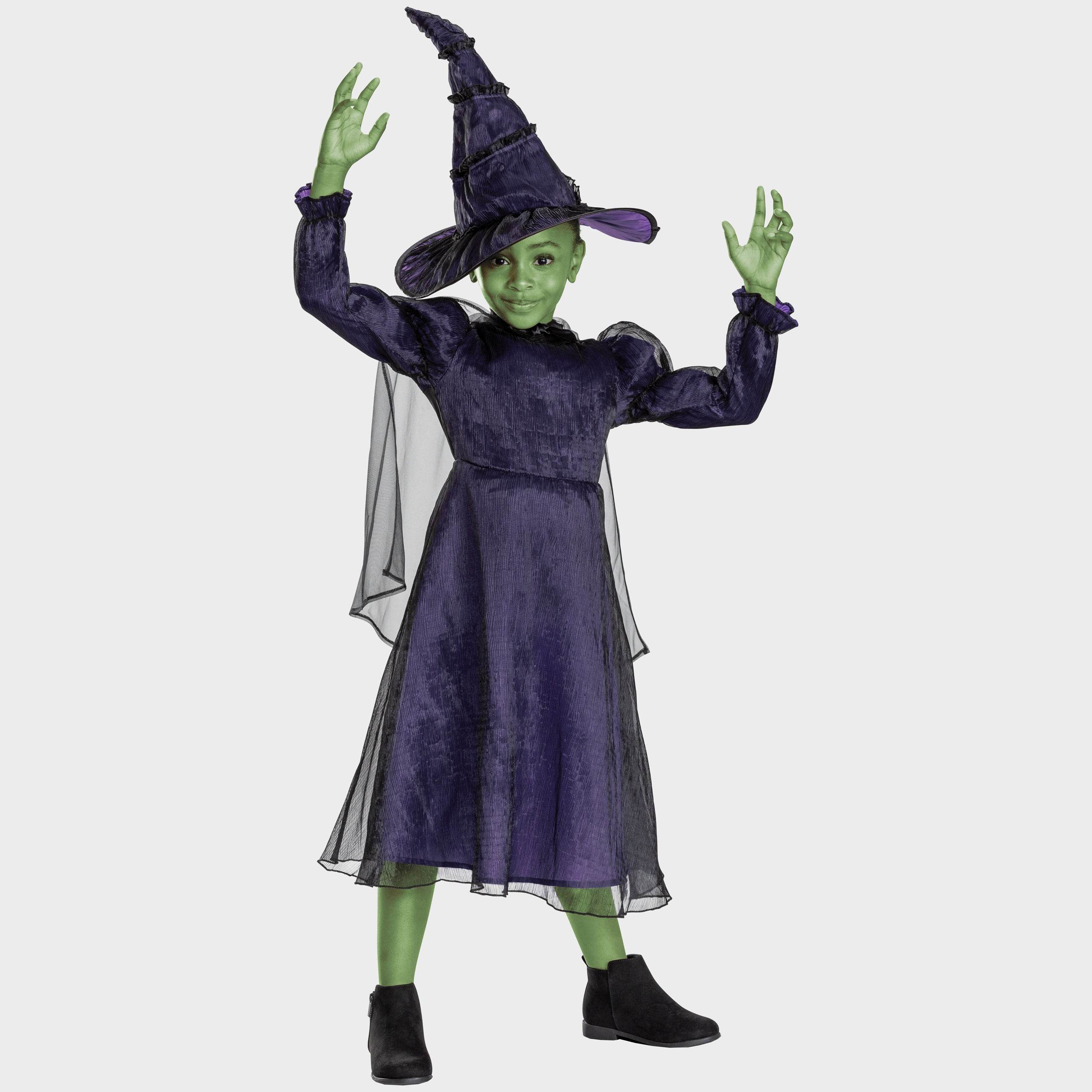 Wicked Elphaba Deluxe Fancy Dress – Character.com