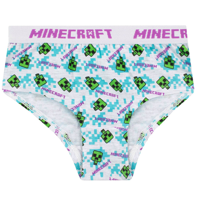 Minecraft Underwear 5 Pack | Kids | Character.com