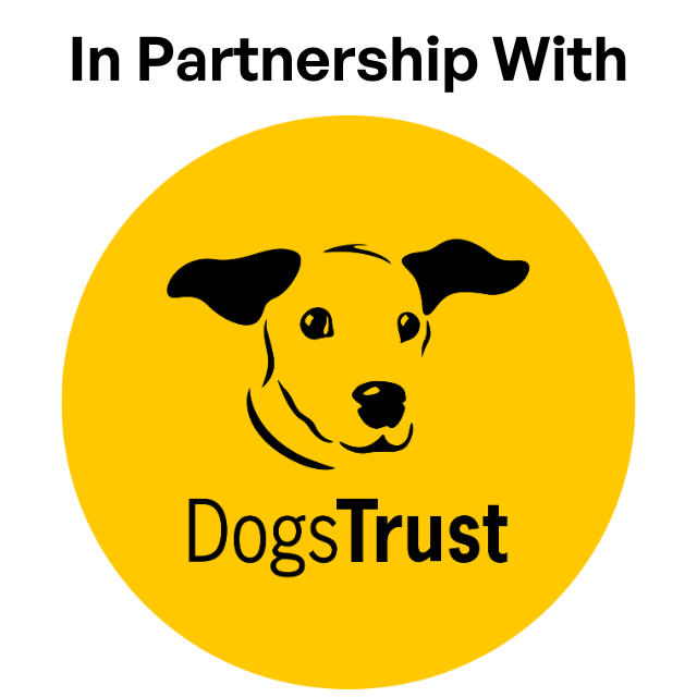 Sale Clothing & Accessories | Disney, PAW Patrol, Harry Potter & More ...